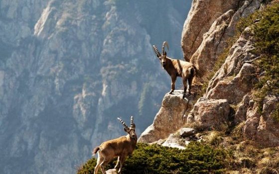 Nature - Georgia Travel Guide